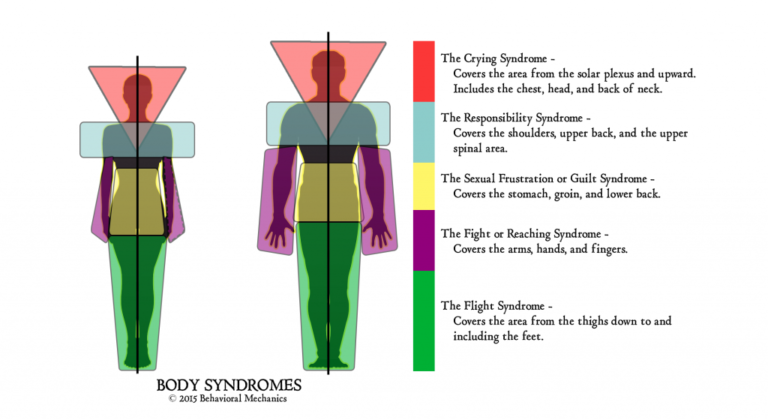 A New Look at Body Syndromes - Behavioral Mechanics